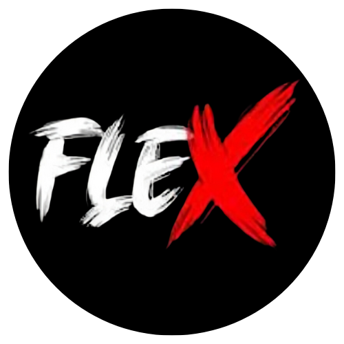 Flex Audio Car